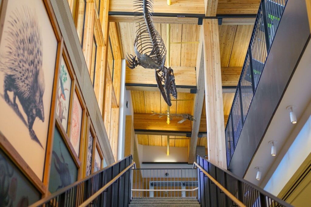 Inside a Fossil Museum That Doesn’t Rely on Fossil Fuels - Green ...