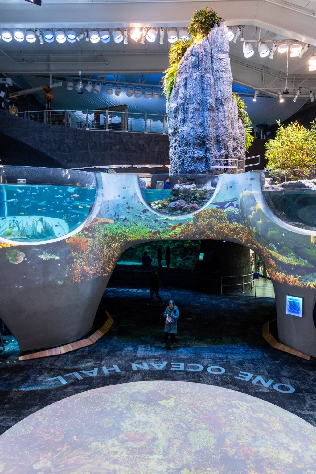 New Seattle Aquarium Ocean Pavilion Designed for Sustainability - Green ...